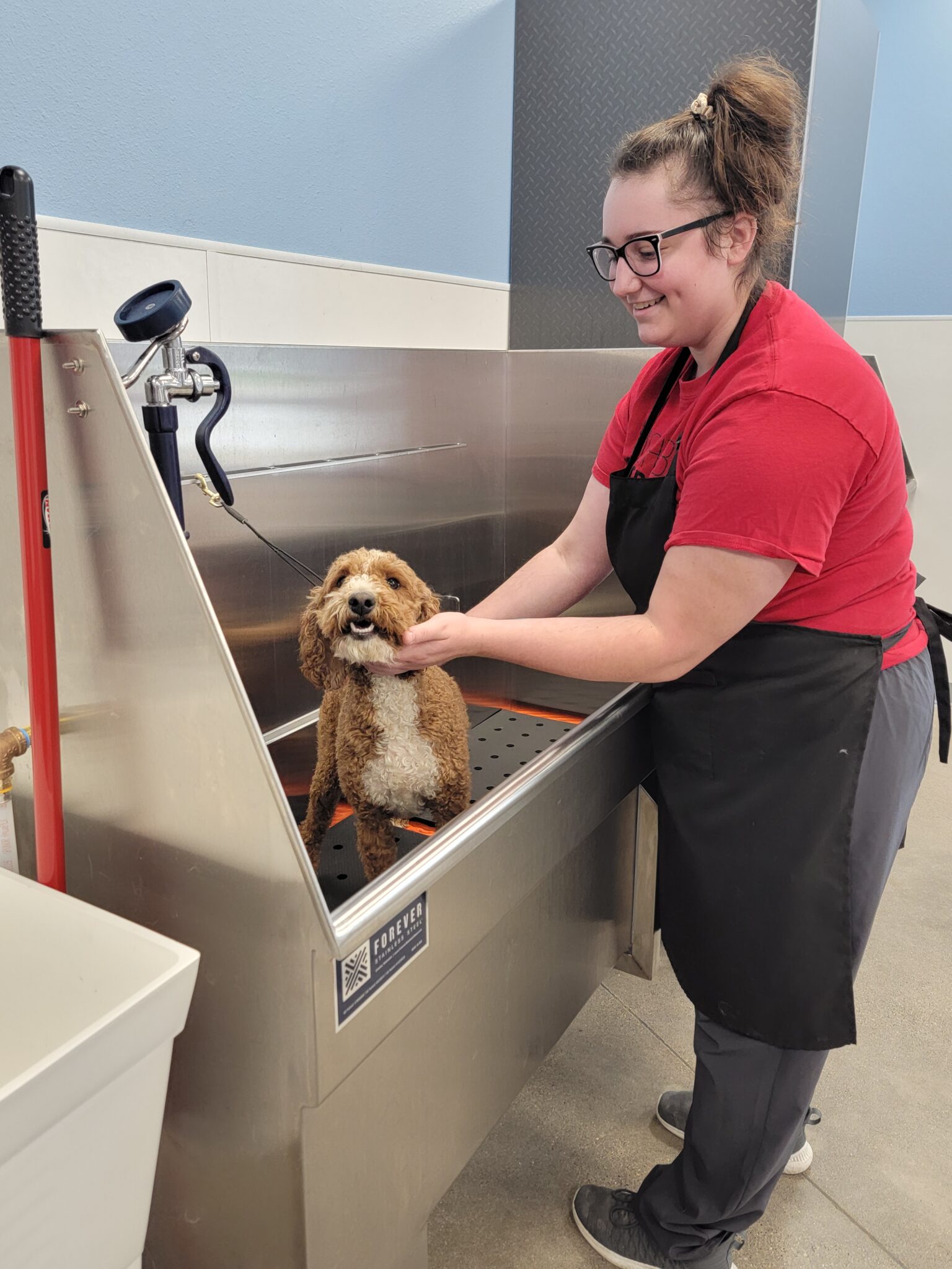 Sioux Center – Dutch Dogs